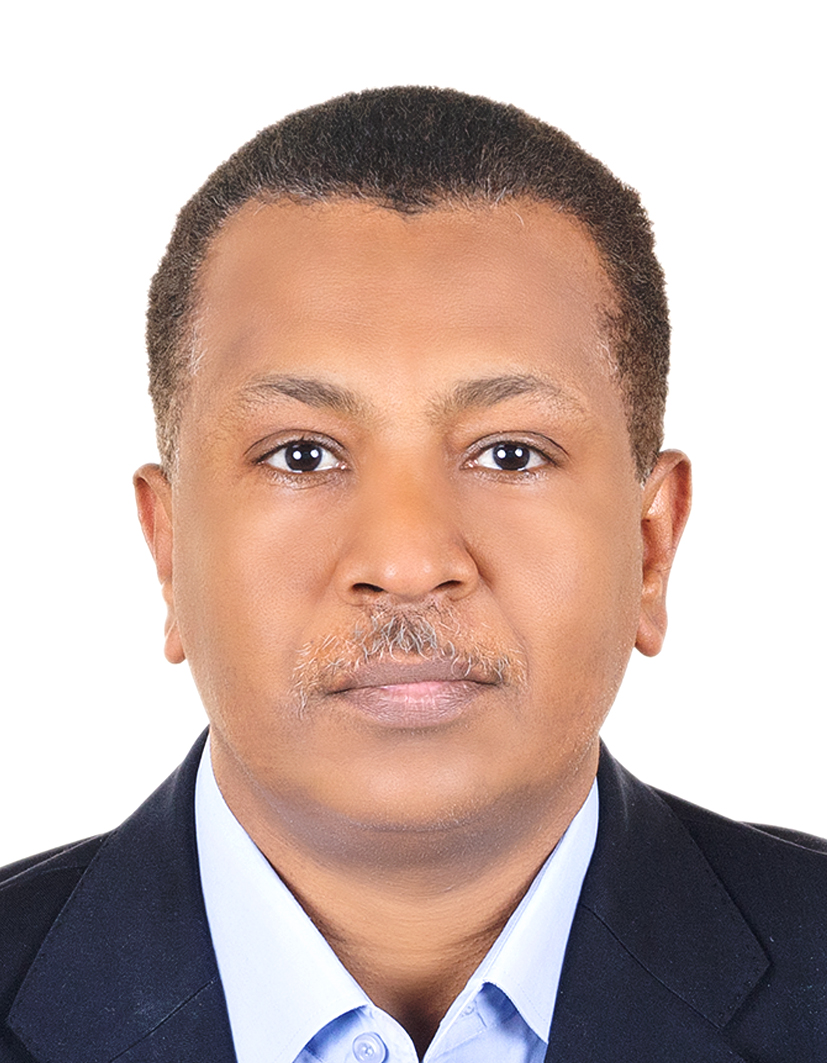 Prof. Atif Awoad Abdallah