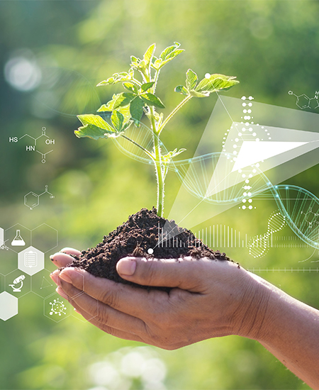 Environmental Health Sciences